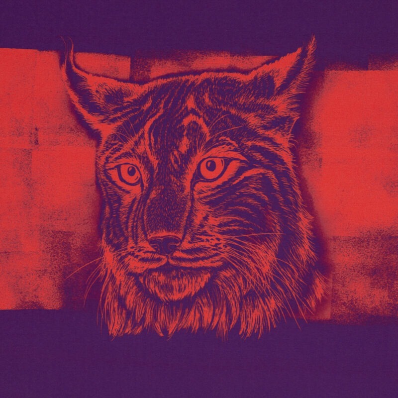 French Terry Panel Pawerful Luchs by Thorsten Berger Stoffstübli GmbH